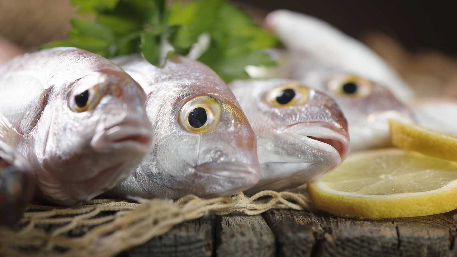 Tutti i trucchi per riconoscere il pesce fresco | Altroconsumo